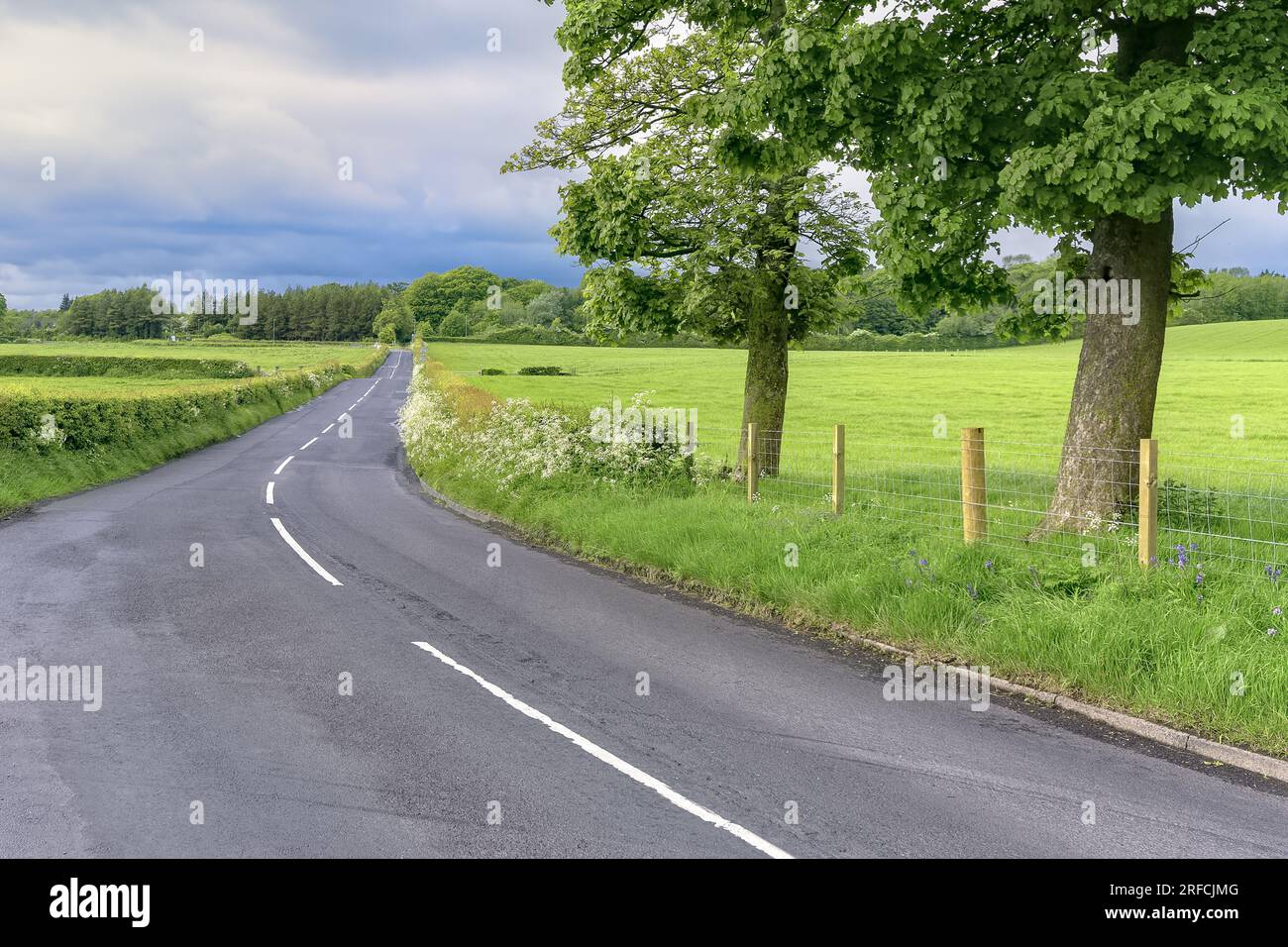 A long bendy Scottish road winding through farmers fields with hazard ...
