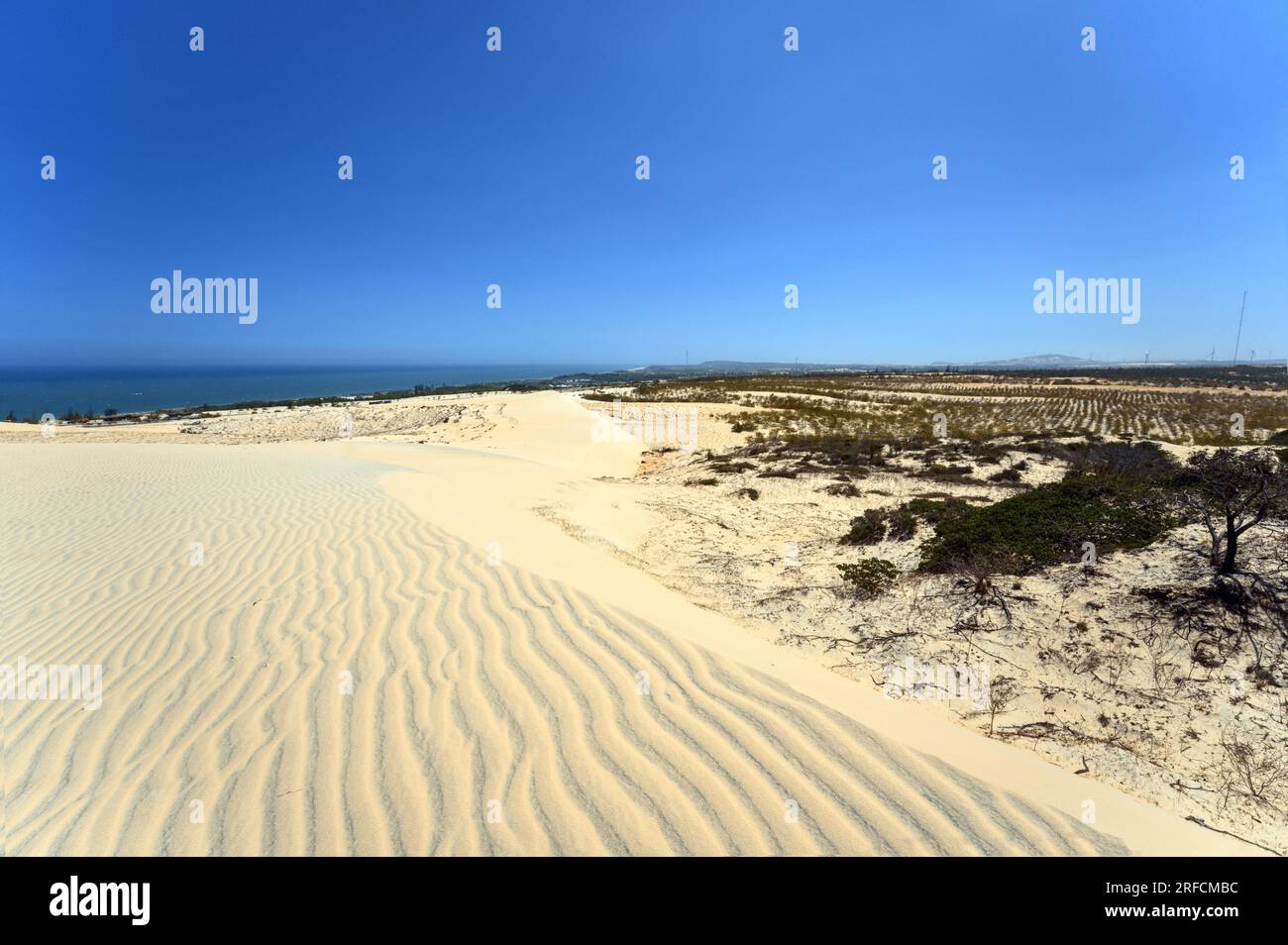Vietnam mui ne nature hi-res stock photography and images - Alamy