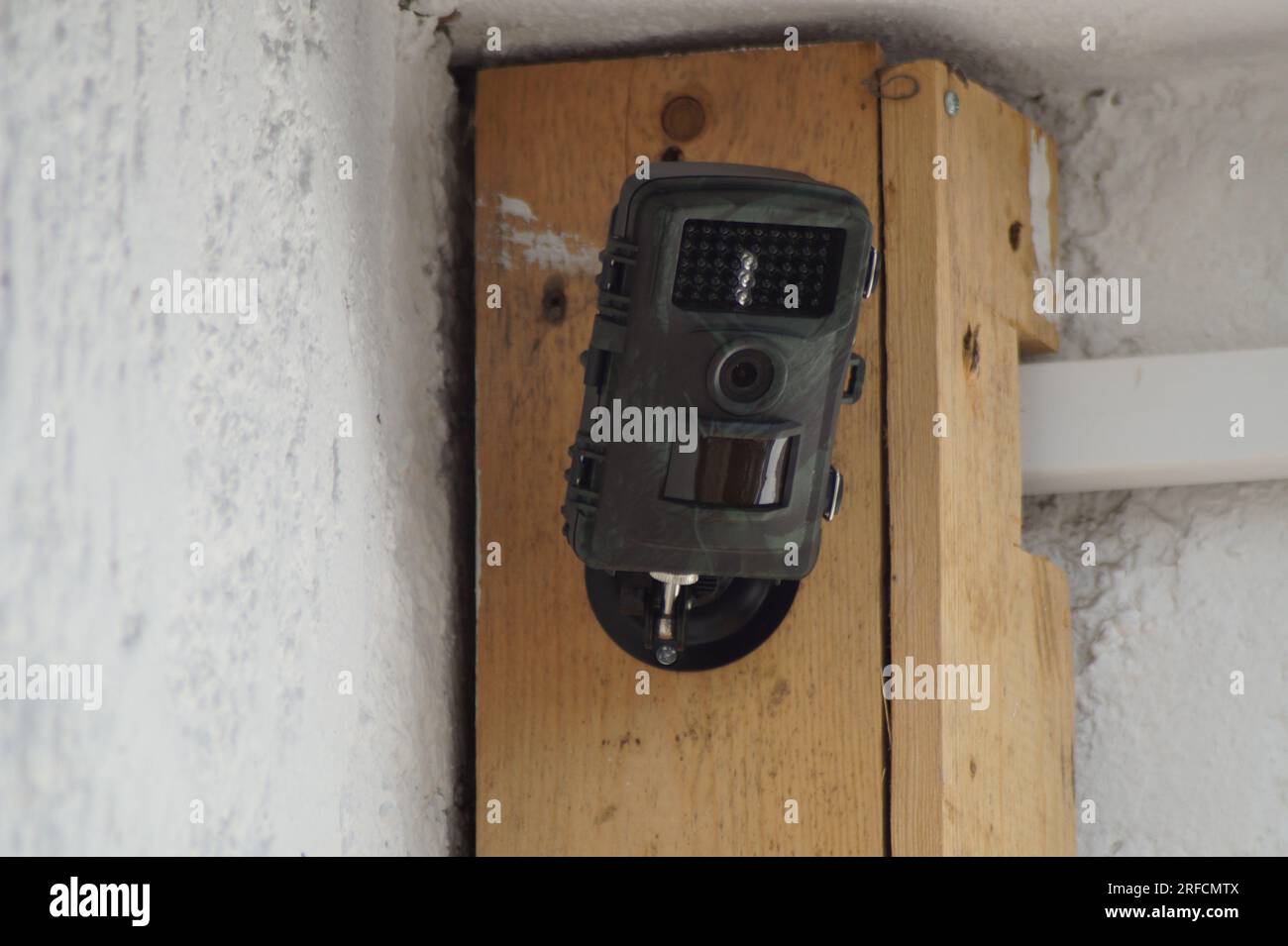 Camera to watch wildlife hi-res stock photography and images - Alamy