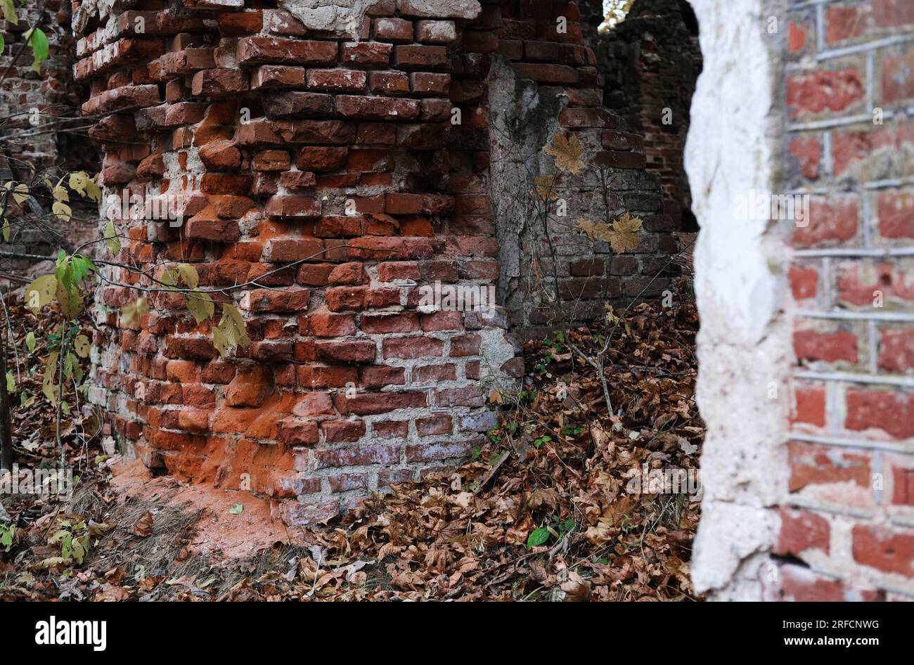 Arched window openings of a destroyed abandoned building. Broken ...