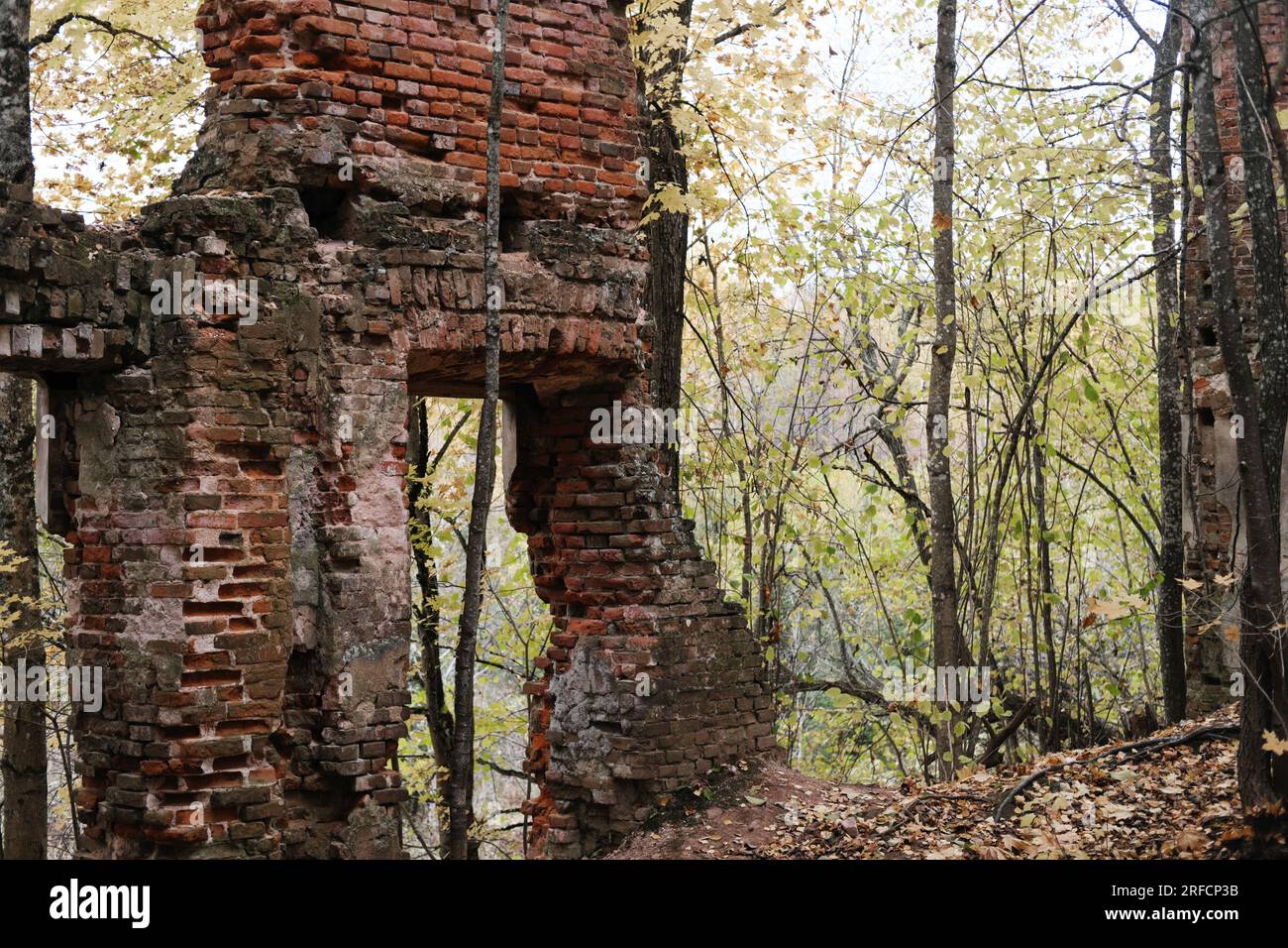 Old ruined brick building with arches in the autumn forest. Interior ...