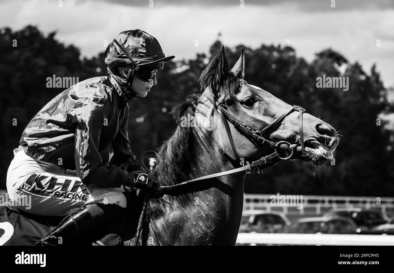 Valiant lady Black and White Stock Photos & Images - Alamy