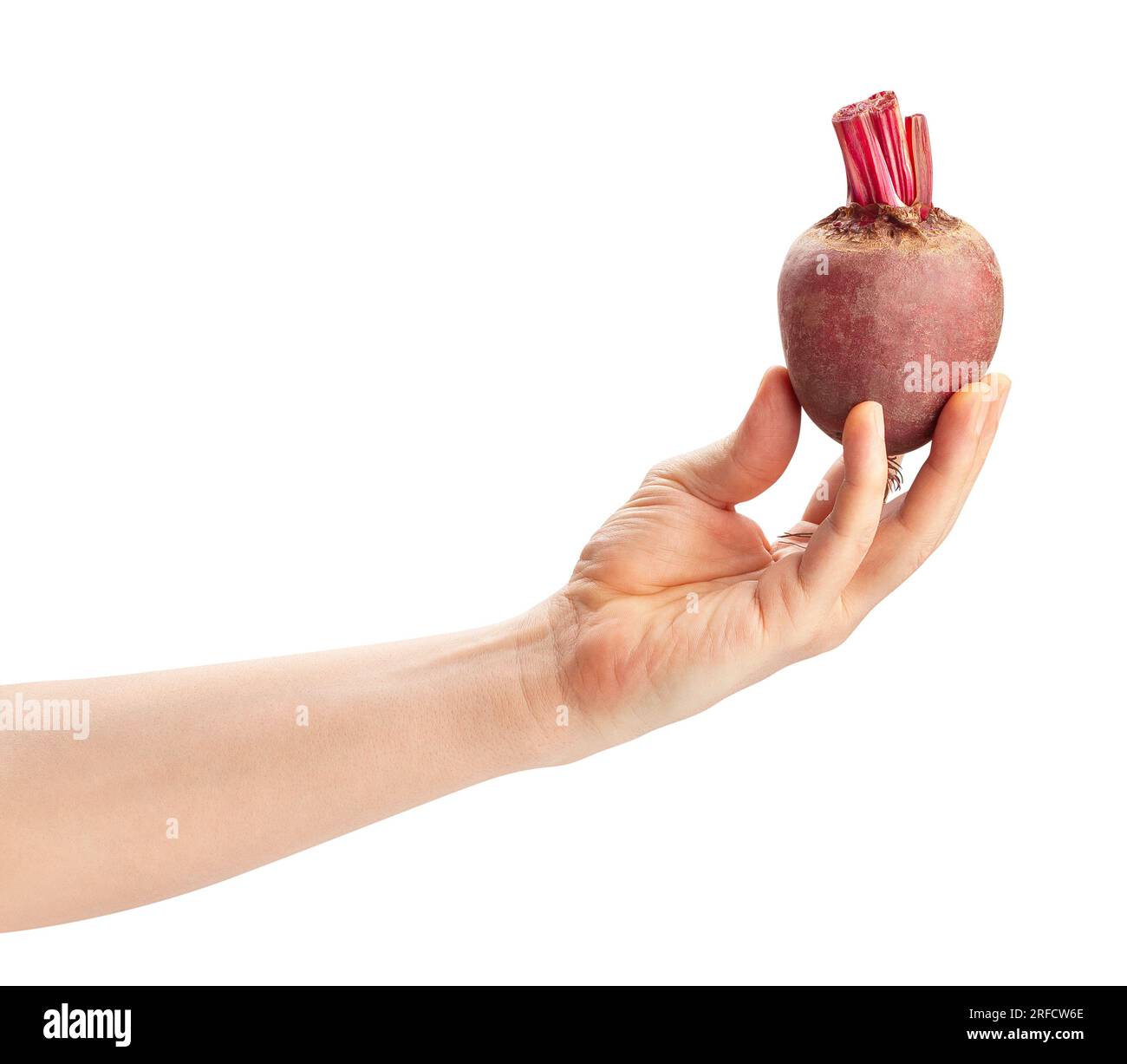 Hand holding beetroot hi-res stock photography and images - Alamy