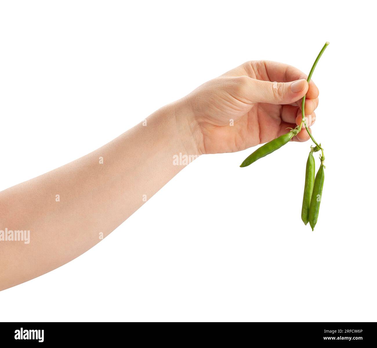 Green peas in hand Cut Out Stock Images & Pictures - Alamy