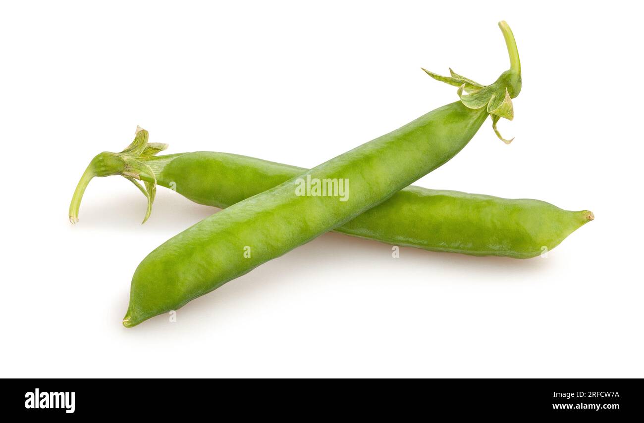 Green legume Cut Out Stock Images & Pictures - Alamy