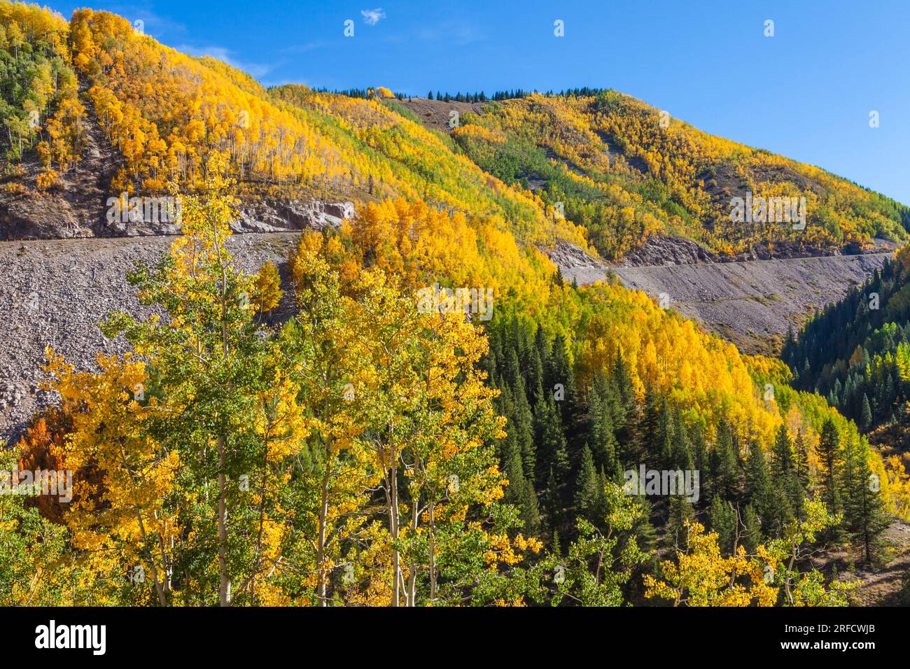 Us southern colonies hi-res stock photography and images - Alamy