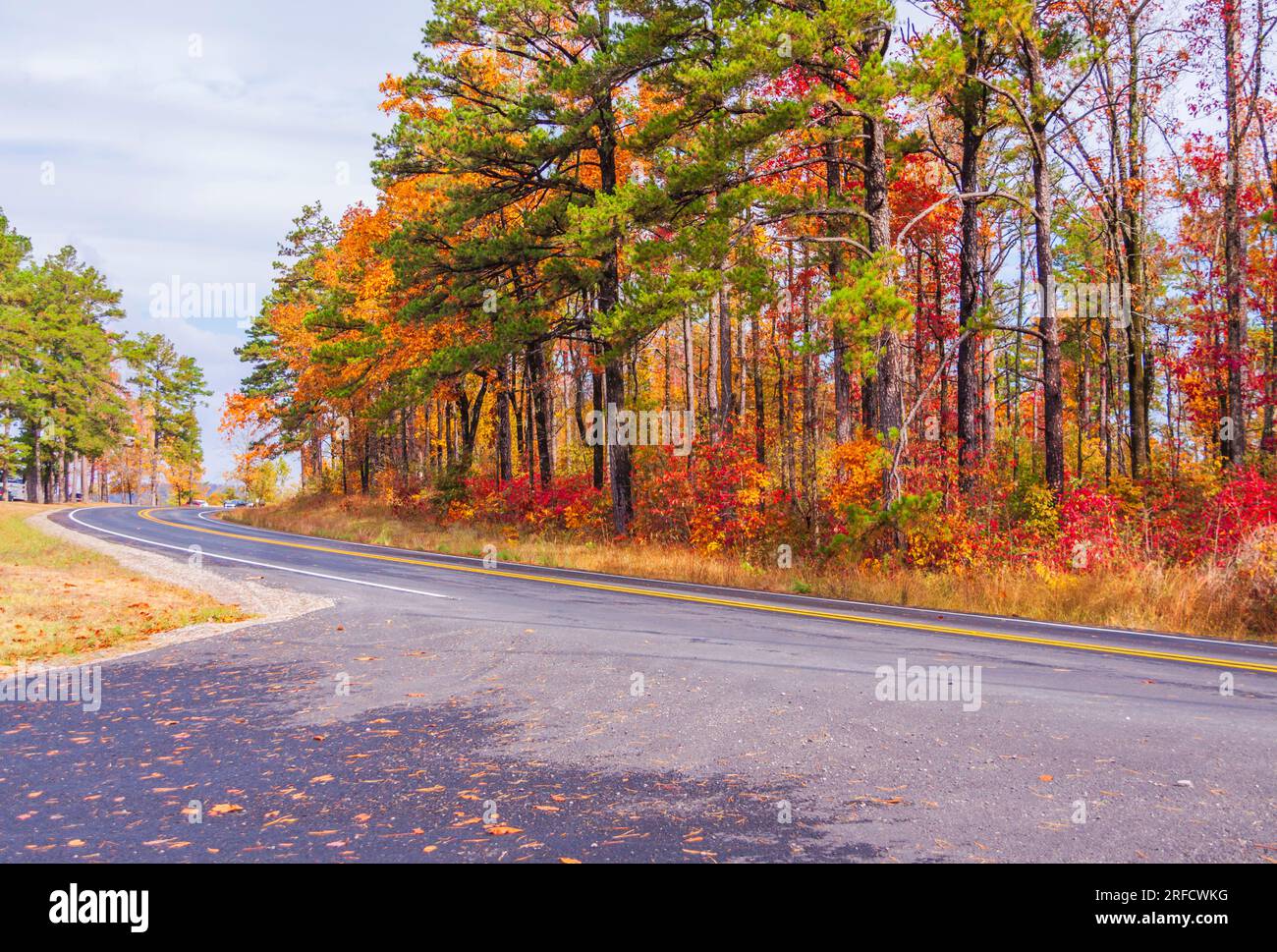 Autumn Color in Arkansas on scenic highway 7. This famous drive for ...