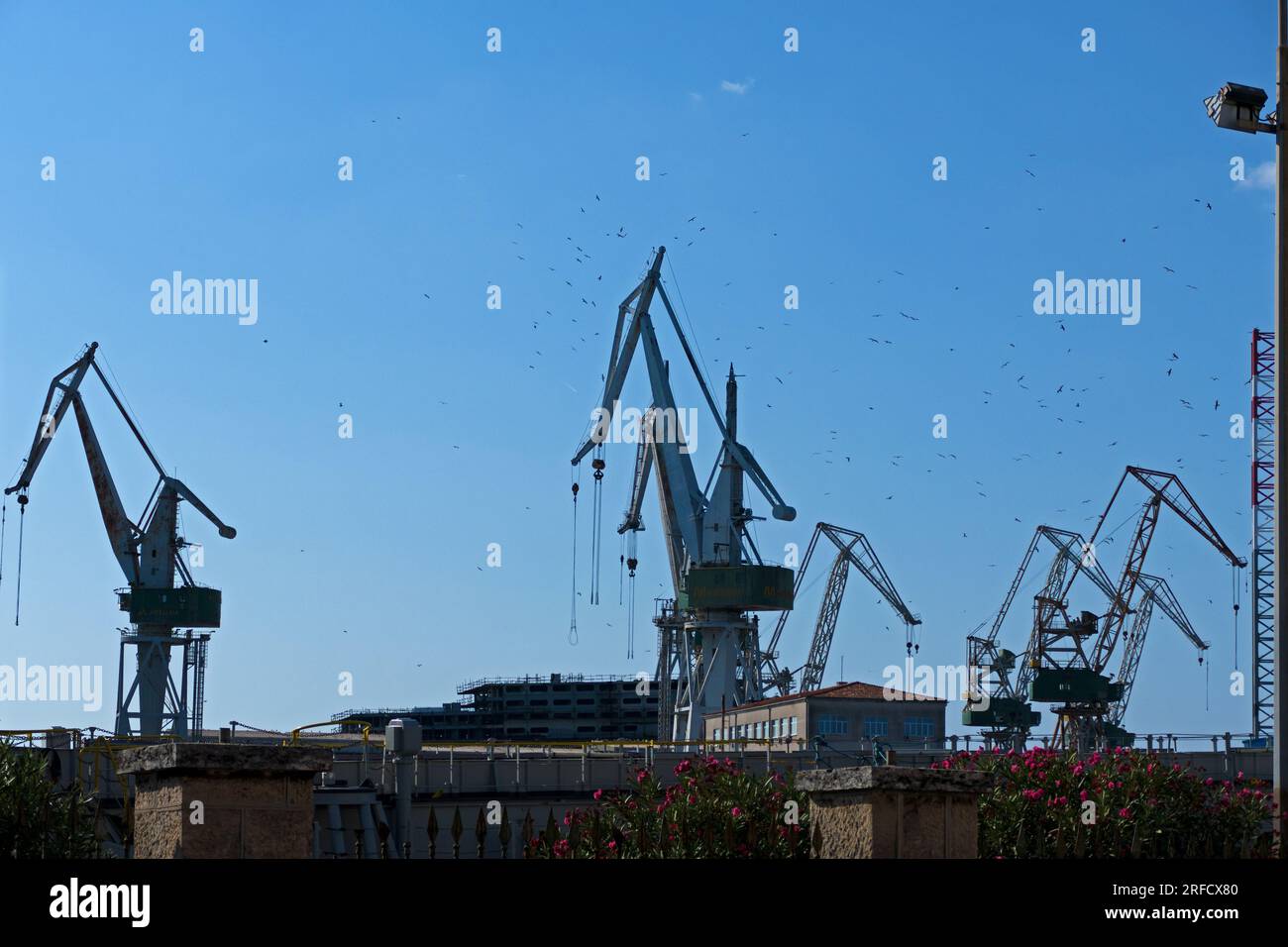 Pula hafen hi-res stock photography and images - Alamy