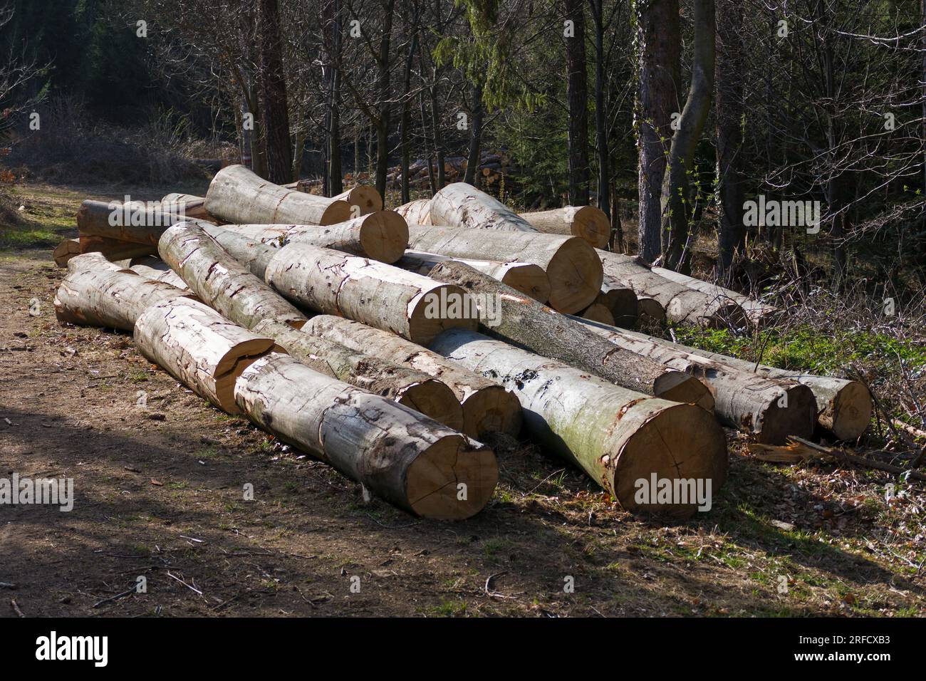 Holz hintergrund hi-res stock photography and images - Alamy