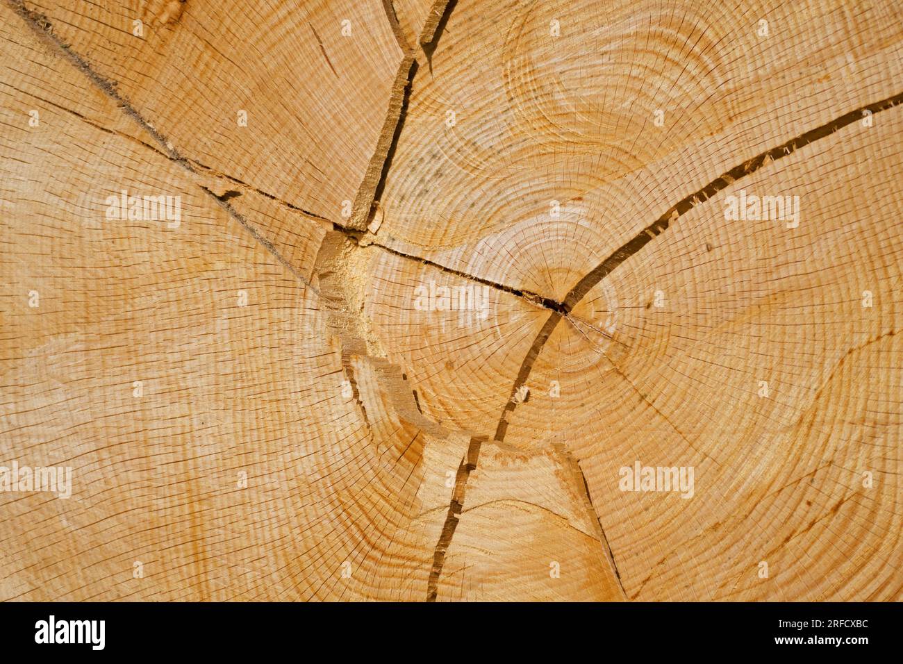 Holz hi-res stock photography and images - Alamy