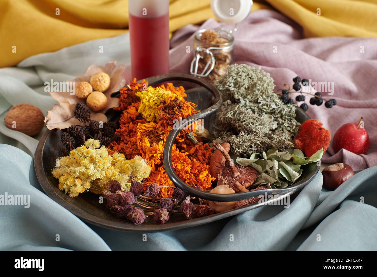 Plant material hi-res stock photography and images - Alamy