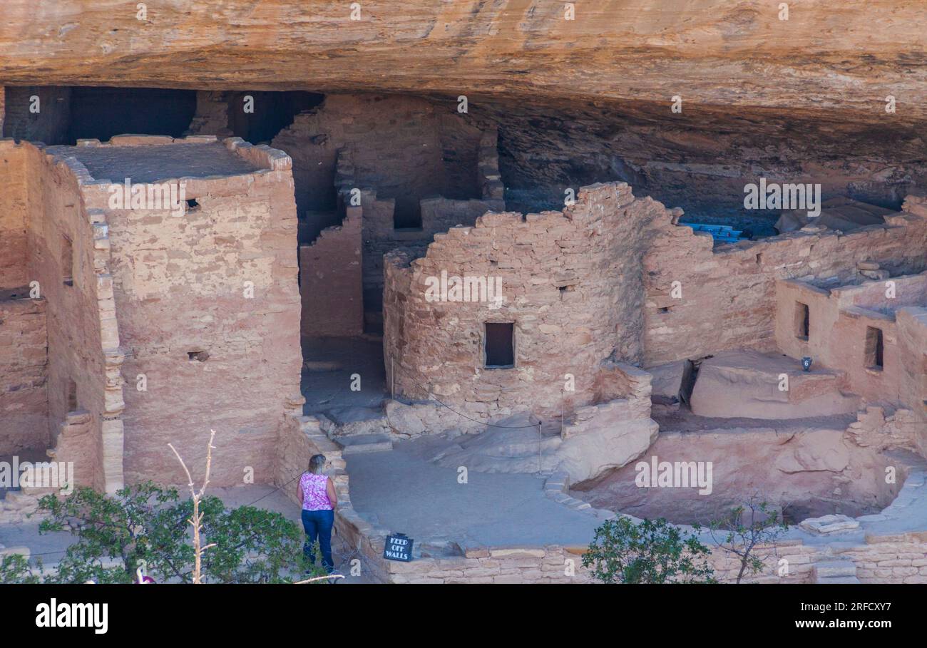 Ancient cliff dwellings in Mesa Verde National Park in Colorado date ...