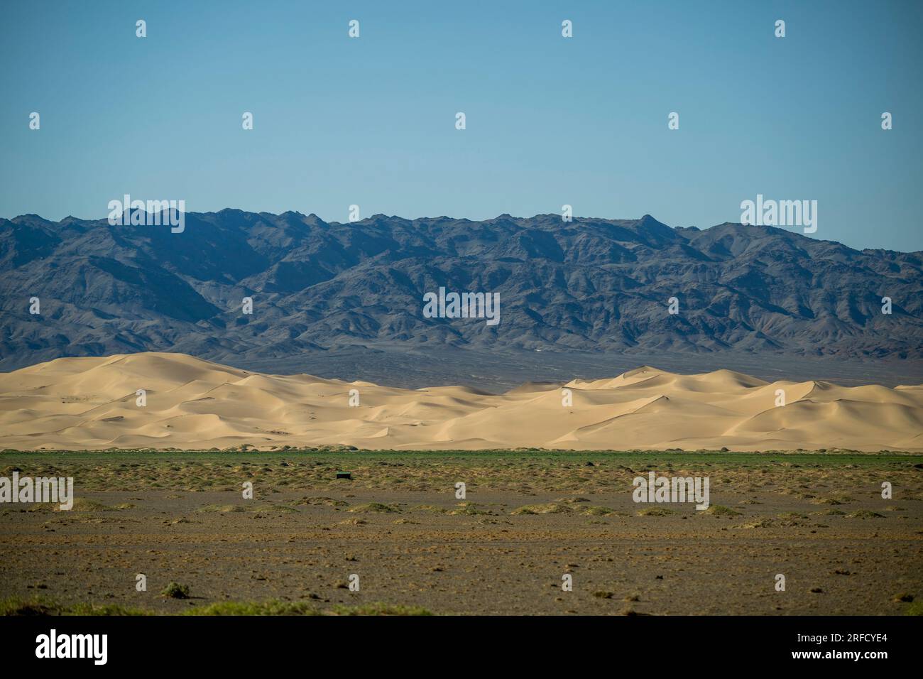 View of the Hongoryn Els (Khongoryn Els) sand dunes in the Gobi Desert ...