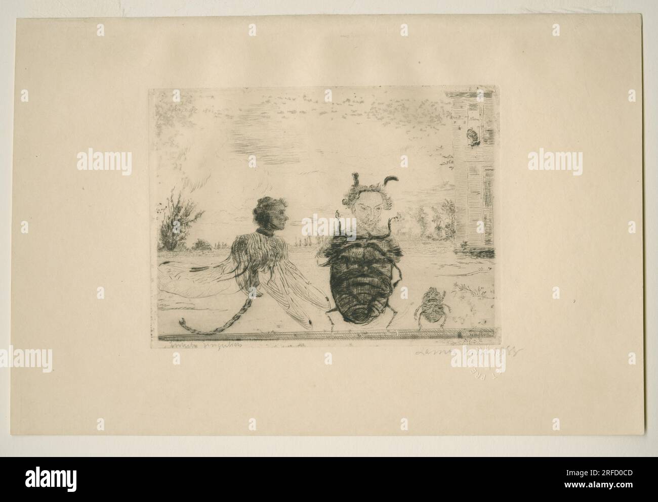 Insectes hi-res stock photography and images - Alamy