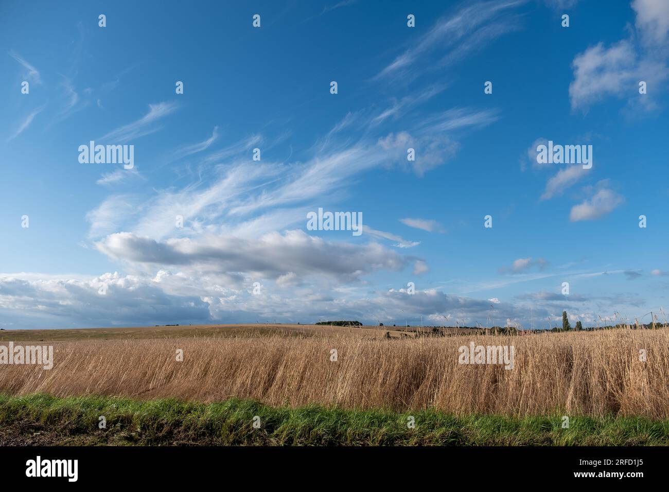 South stoke oxfordshire hi-res stock photography and images - Alamy