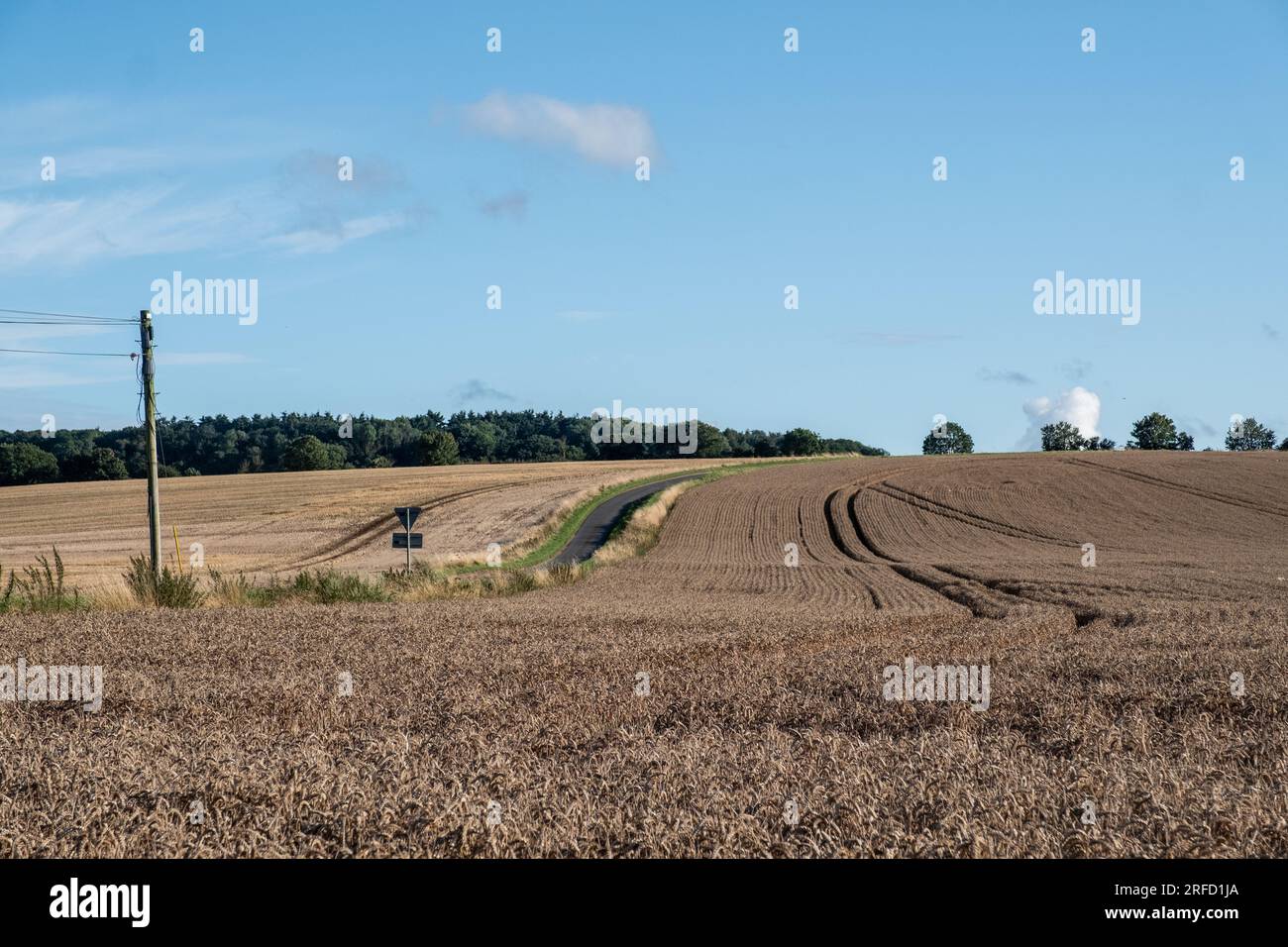 South stoke oxfordshire hi-res stock photography and images - Alamy