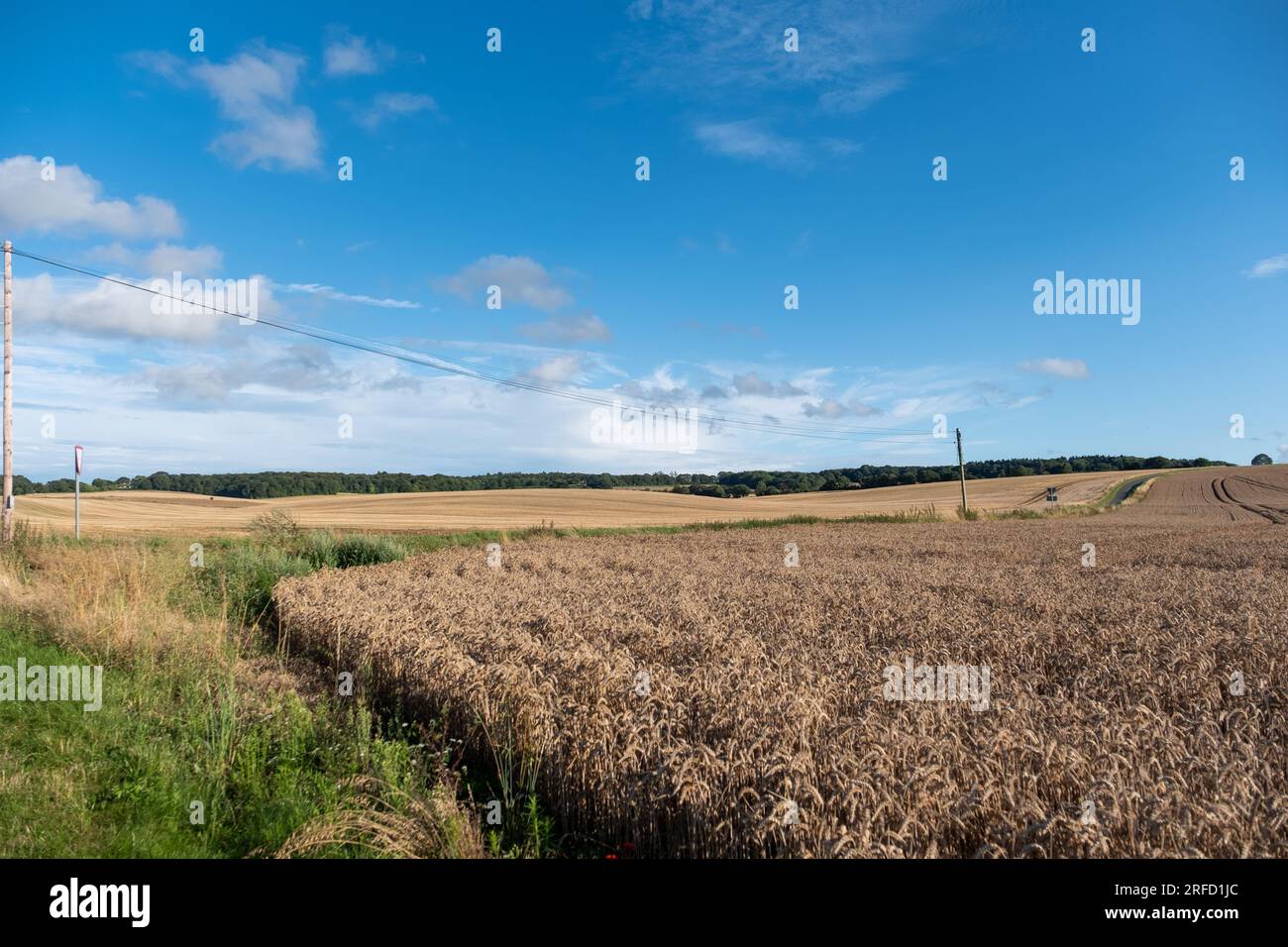 South stoke oxfordshire hi-res stock photography and images - Alamy
