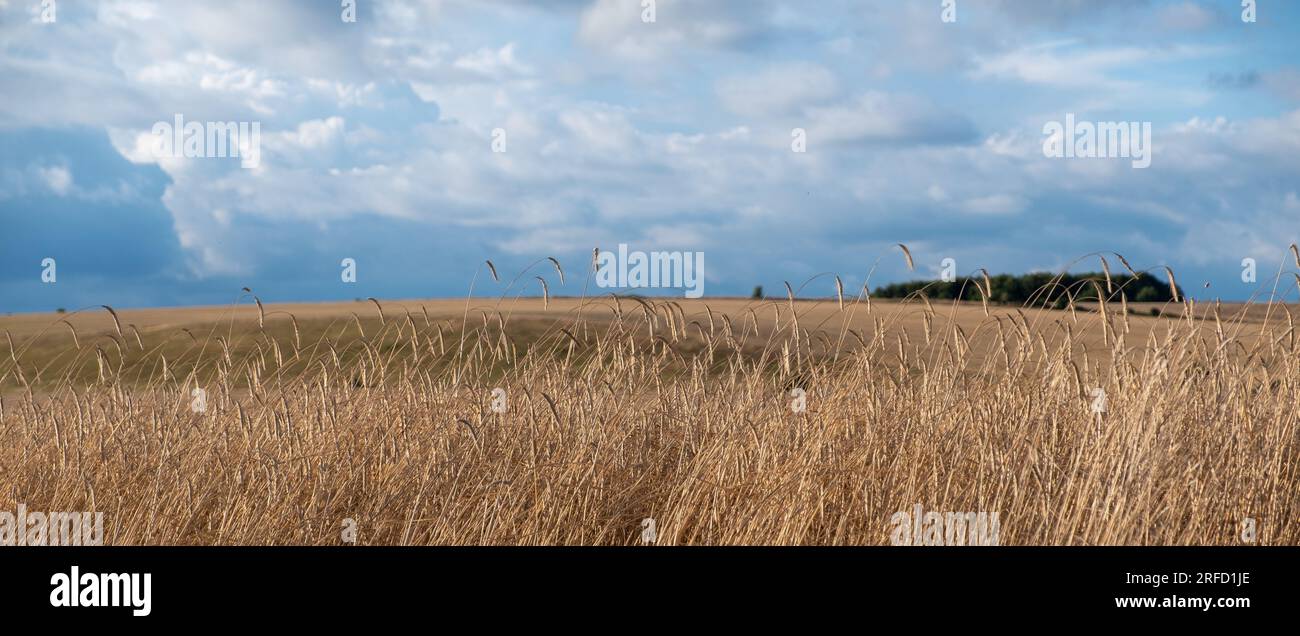 South stoke oxfordshire hi-res stock photography and images - Alamy