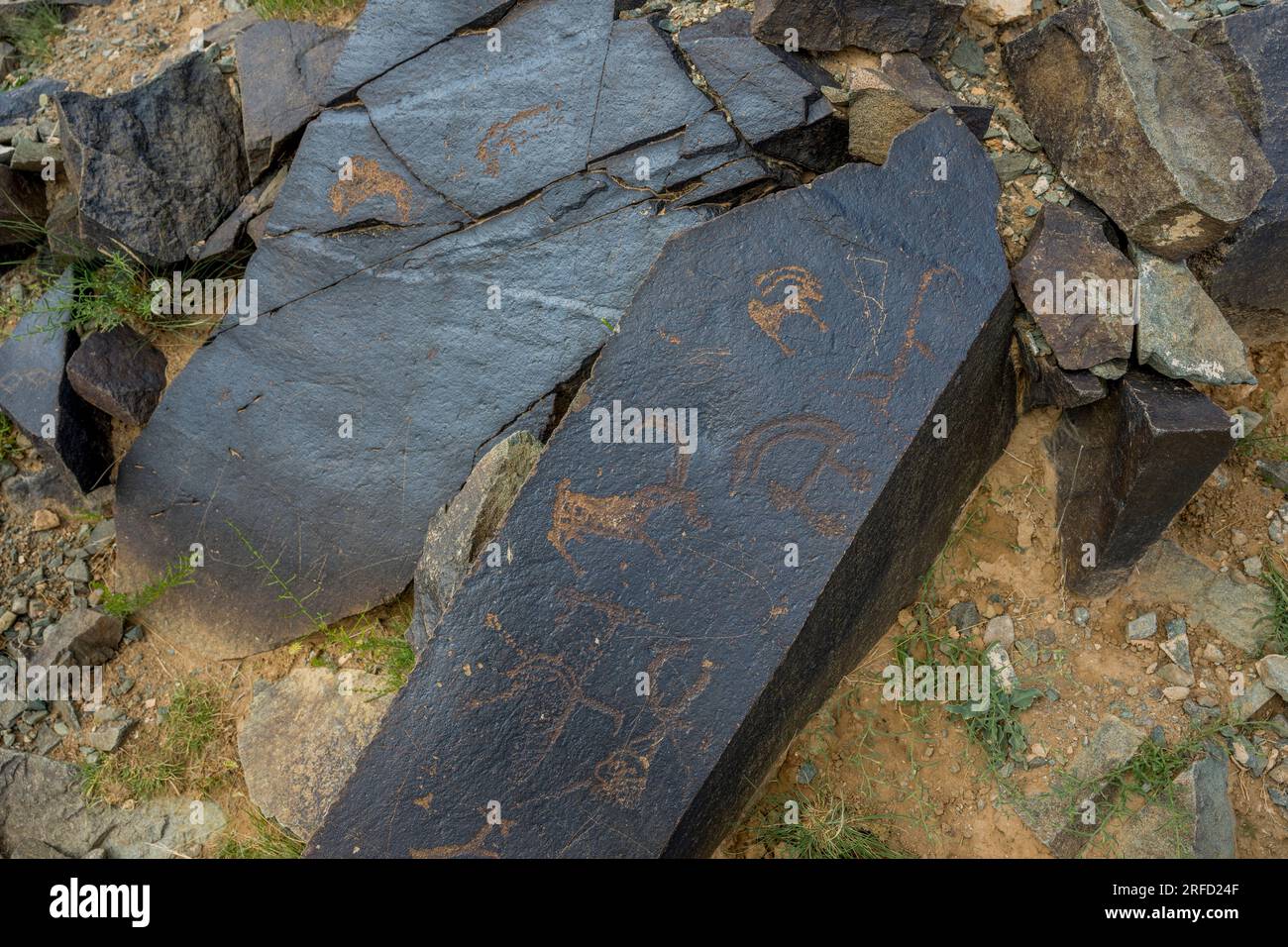 The Khavtsgait Petroglyphs dating from between 8000 BC and 3000 BC in ...