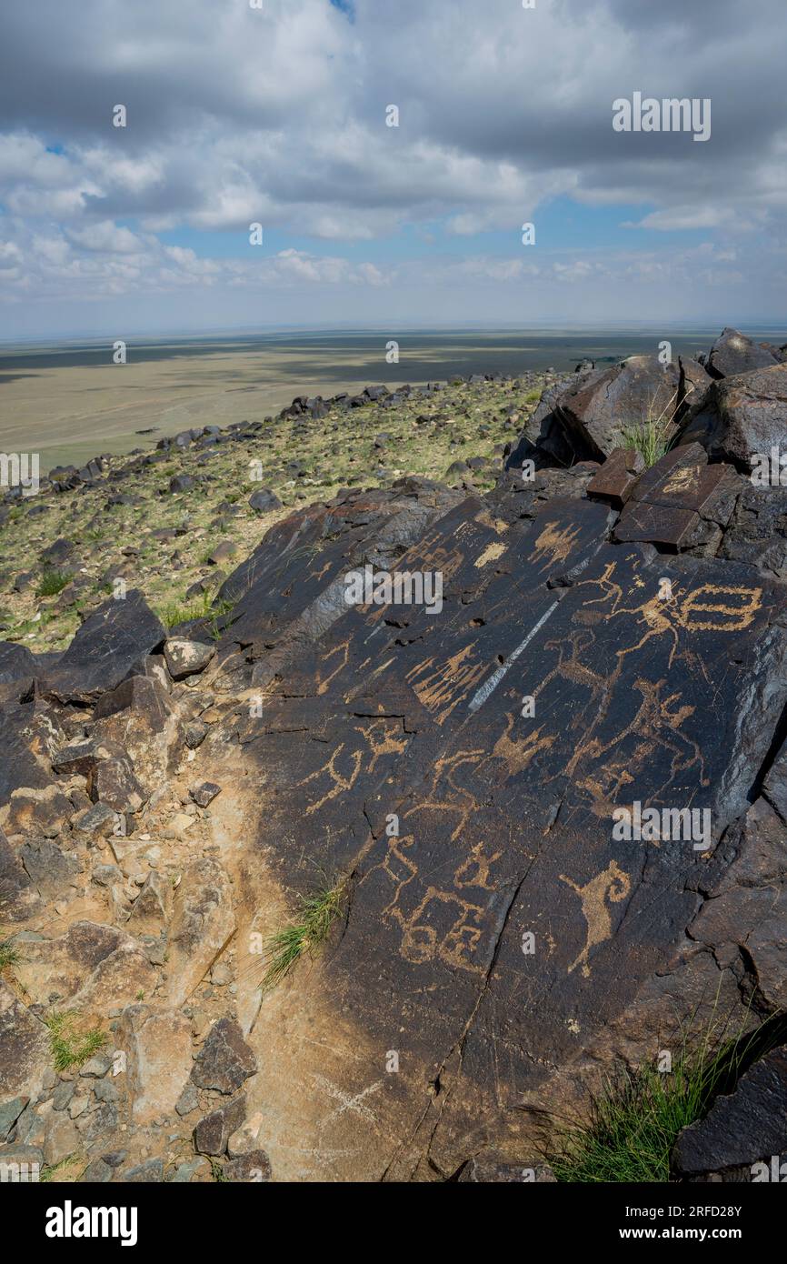 The Khavtsgait Petroglyphs dating from between 8000 BC and 3000 BC in ...