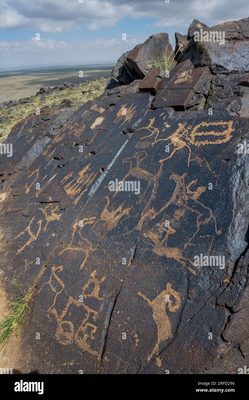 The Khavtsgait Petroglyphs dating from between 8000 BC and 3000 BC in ...