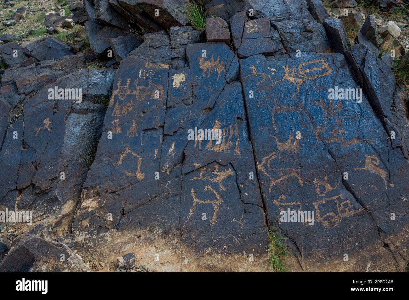 The Khavtsgait Petroglyphs dating from between 8000 BC and 3000 BC in ...