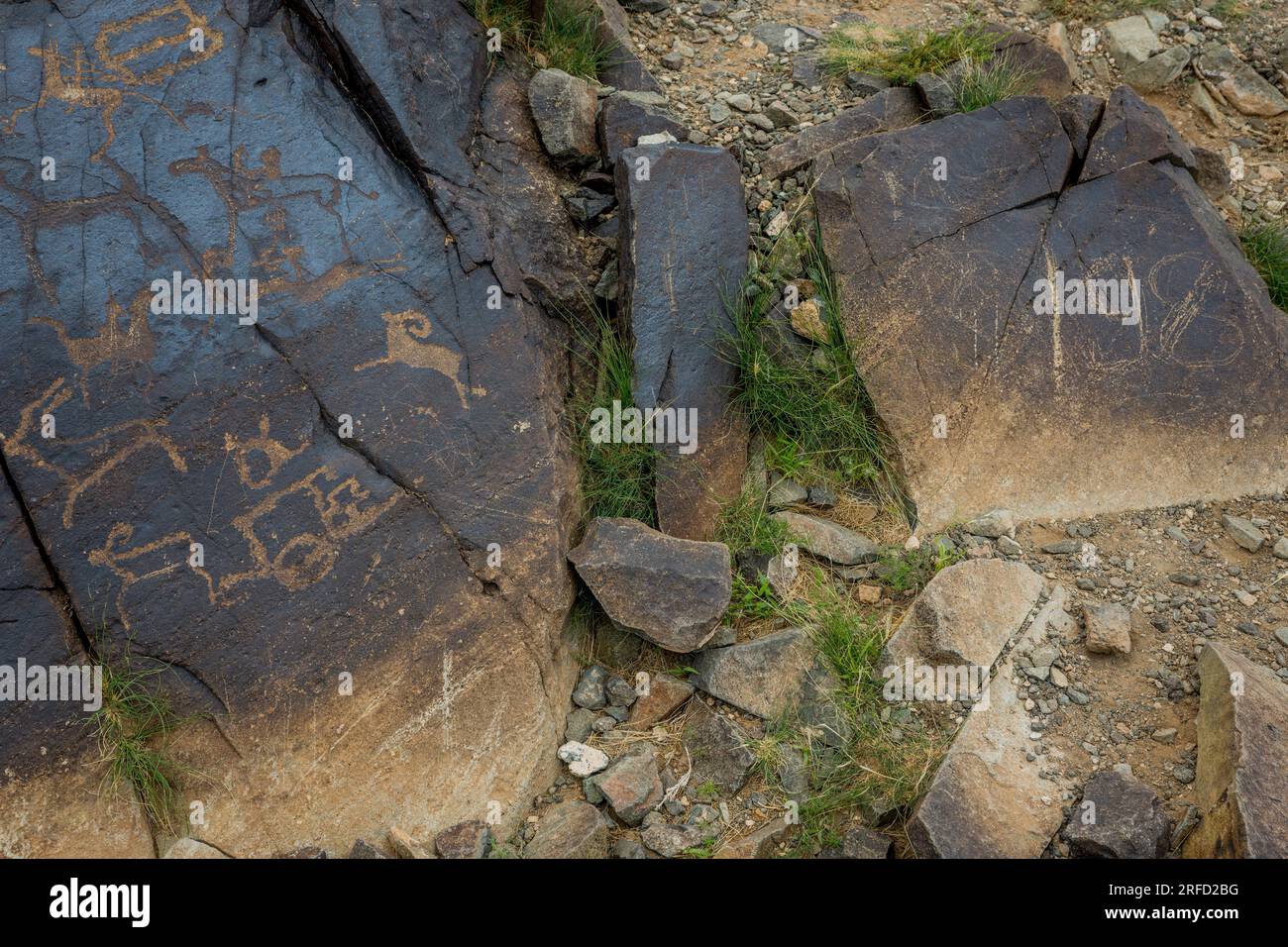The Khavtsgait Petroglyphs dating from between 8000 BC and 3000 BC and ...