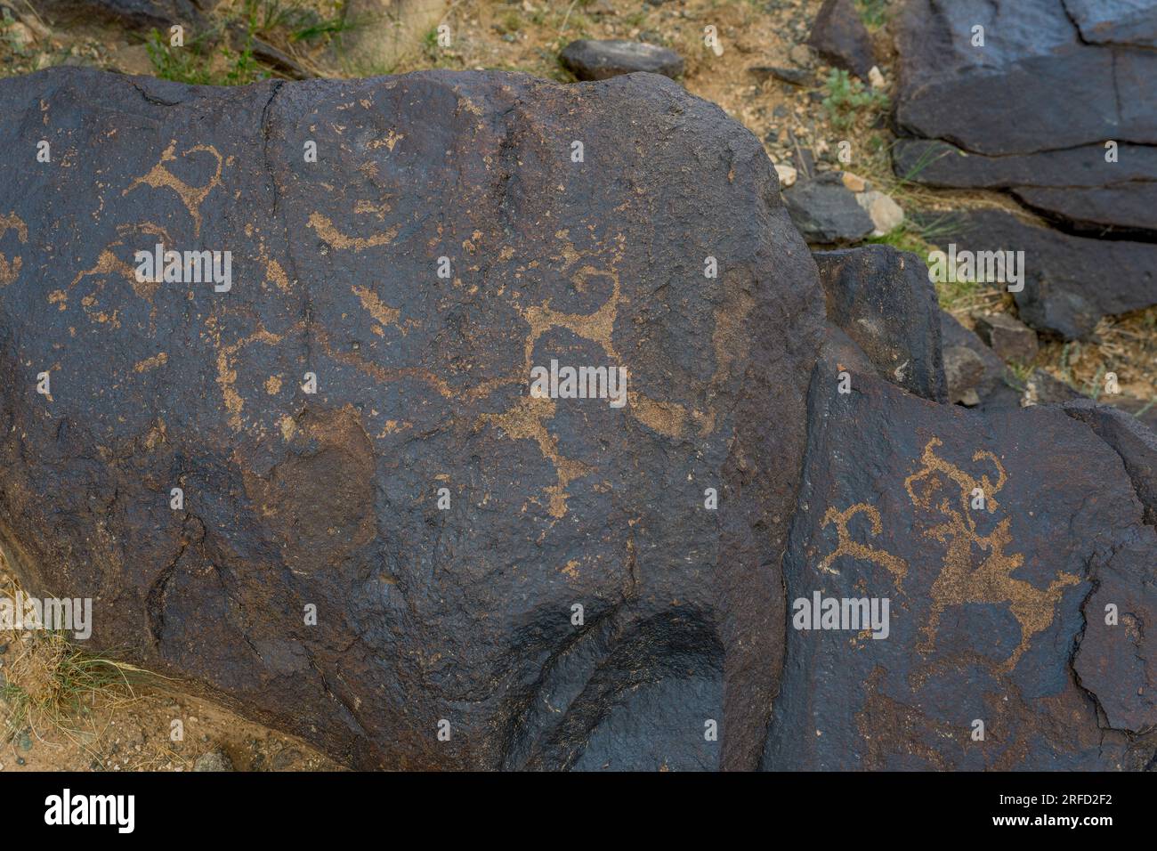 The Khavtsgait Petroglyphs dating from between 8000 BC and 3000 BC in ...