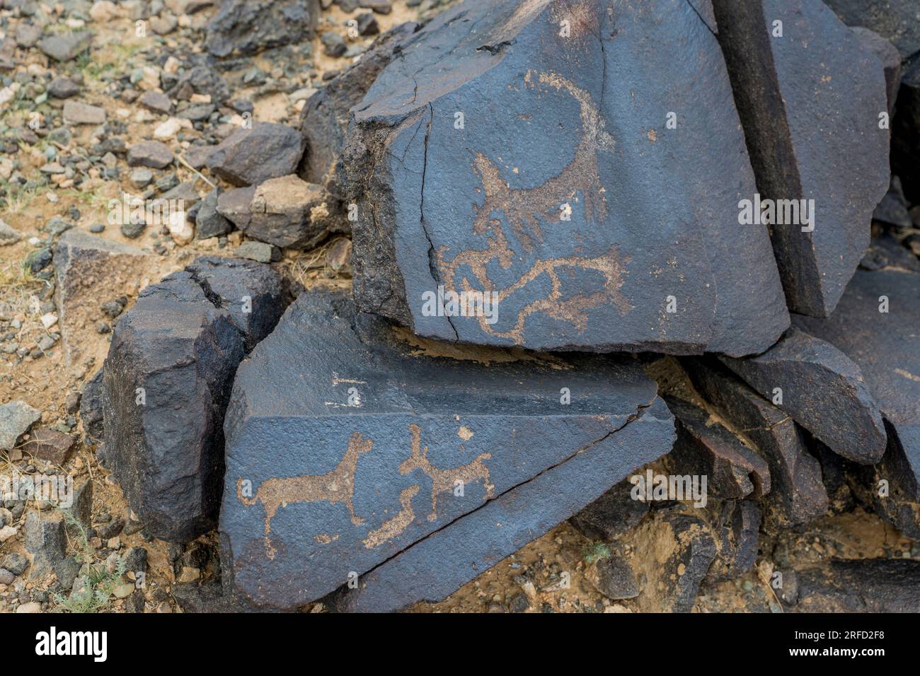 The Khavtsgait Petroglyphs dating from between 8000 BC and 3000 BC in ...