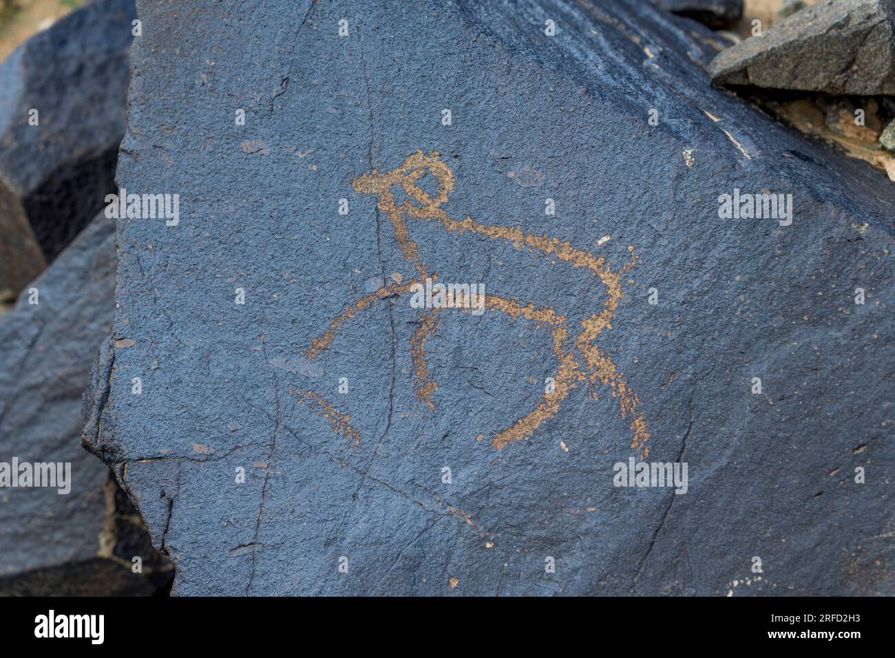 The Khavtsgait Petroglyphs dating from between 8000 BC and 3000 BC in ...