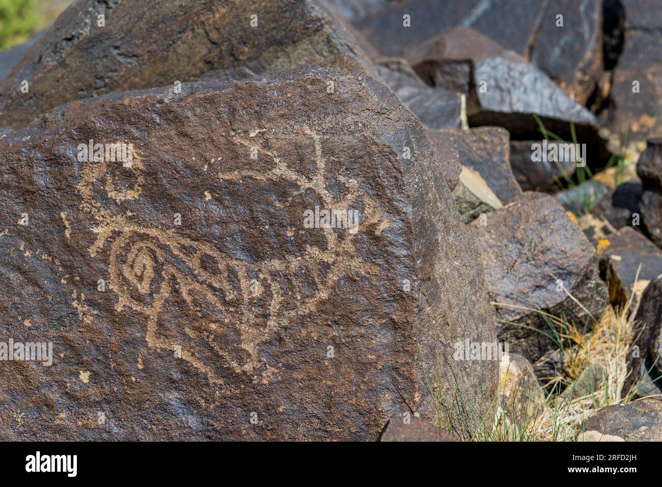 The Khavtsgait Petroglyphs dating from between 8000 BC and 3000 BC in ...