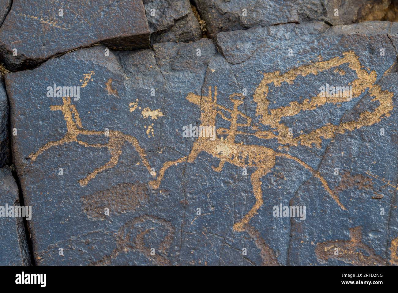 The Khavtsgait Petroglyphs dating from between 8000 BC and 3000 BC in ...