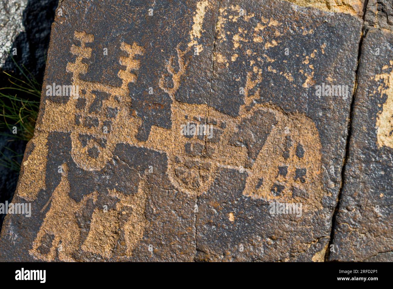 Khavtsgait petroglyphs hi-res stock photography and images - Alamy