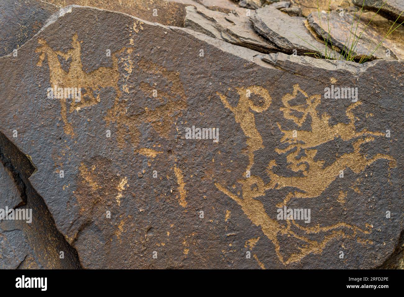 The Khavtsgait Petroglyphs dating from between 8000 BC and 3000 BC in ...