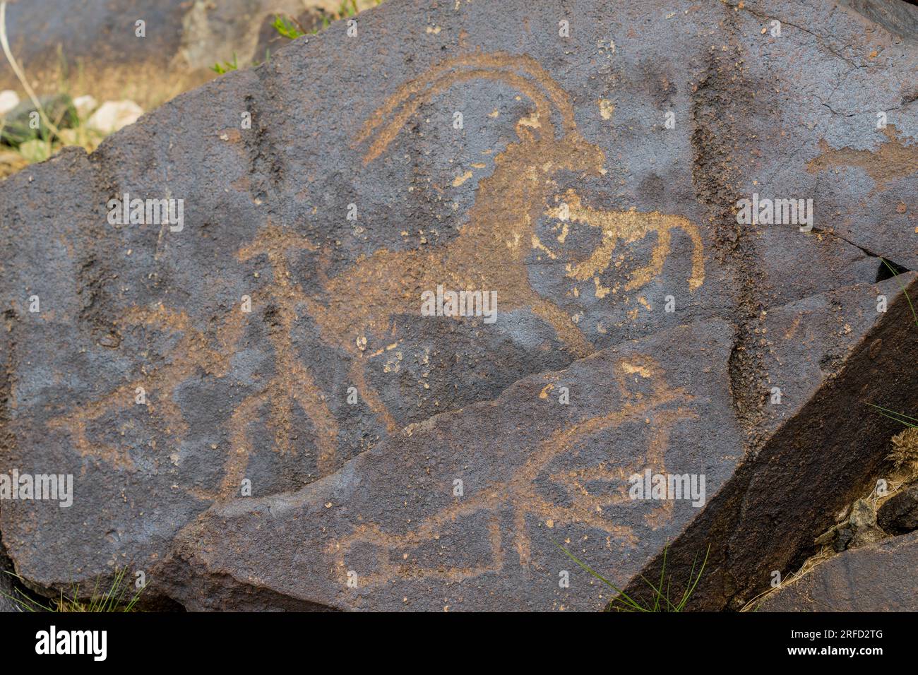 The Khavtsgait Petroglyphs dating from between 8000 BC and 3000 BC in ...
