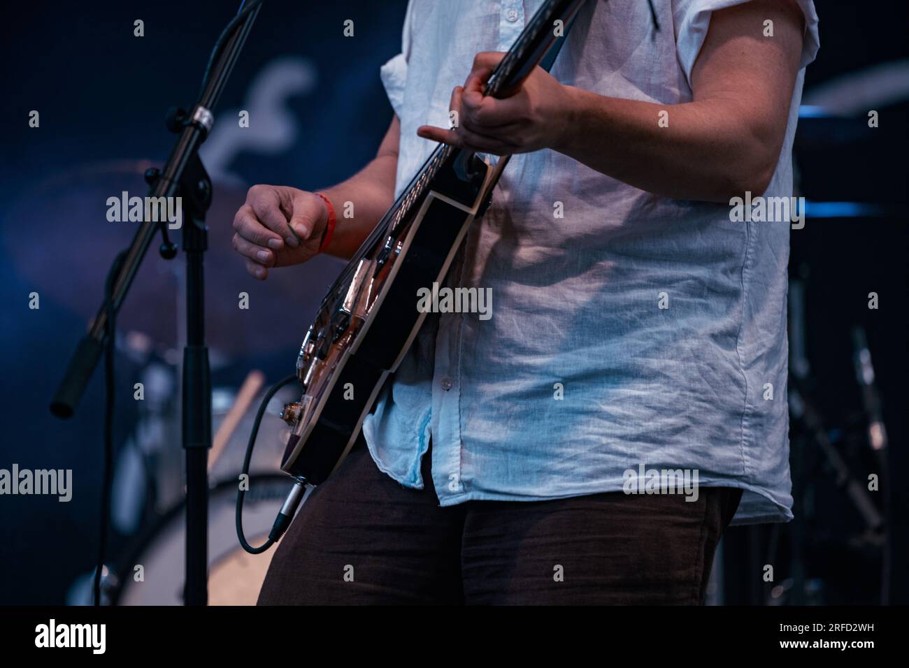 Bob hund hi-res stock photography and images - Alamy