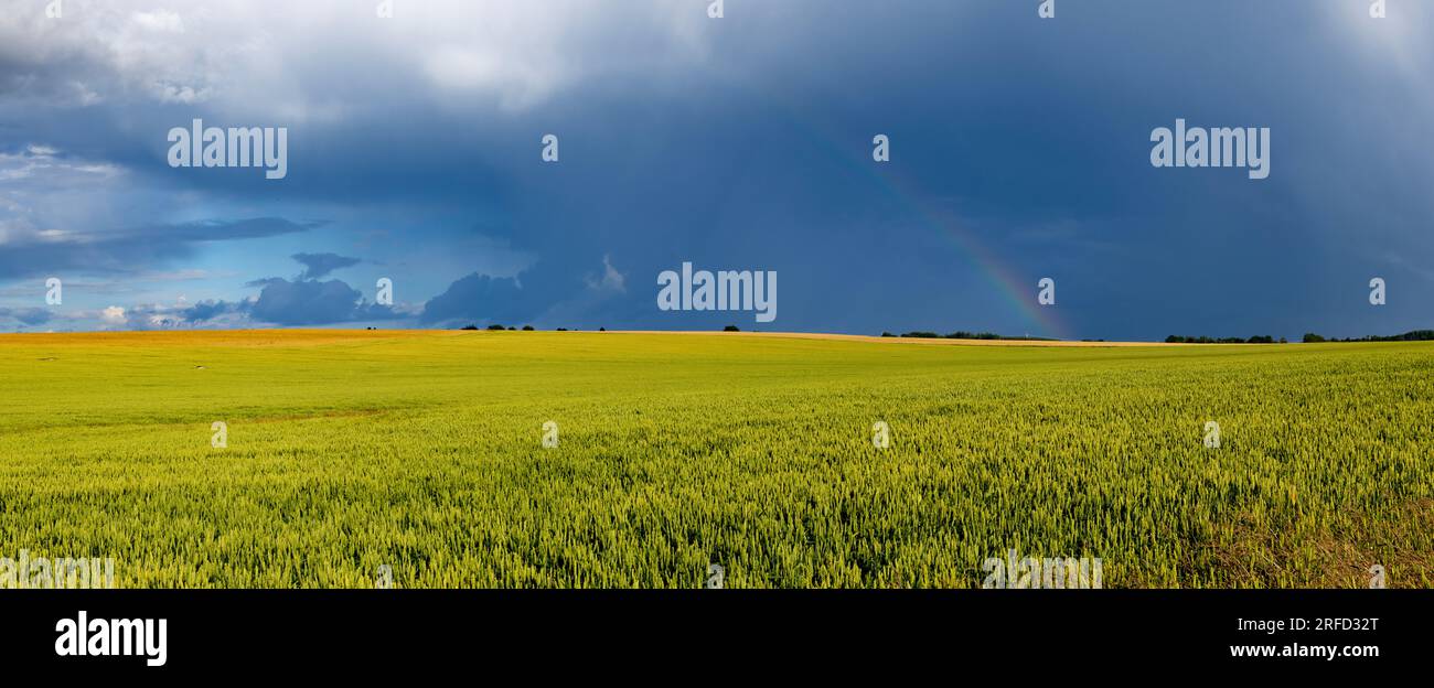 Panoramic view of a thunderstorm over agricultural land Stock Photo - Alamy