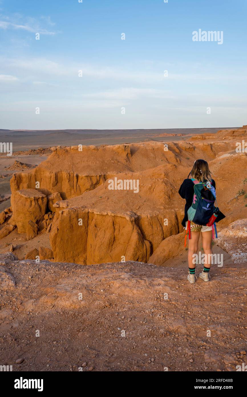 Mongolia where important dinosaur fossils were found hi-res stock ...