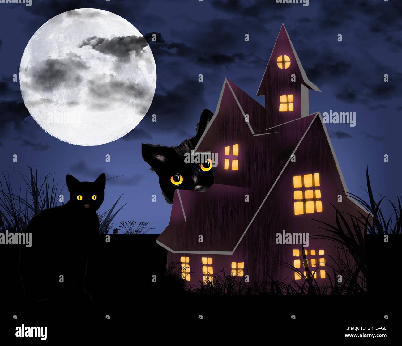 Black cats, full moon and a haunted house at night are seen in this 3-d ...