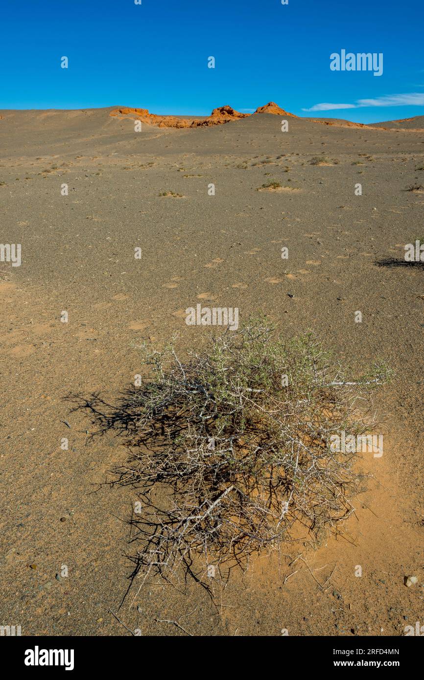 Landscape with sedimentary red rock at the Hongoryn Els sand dunes in ...