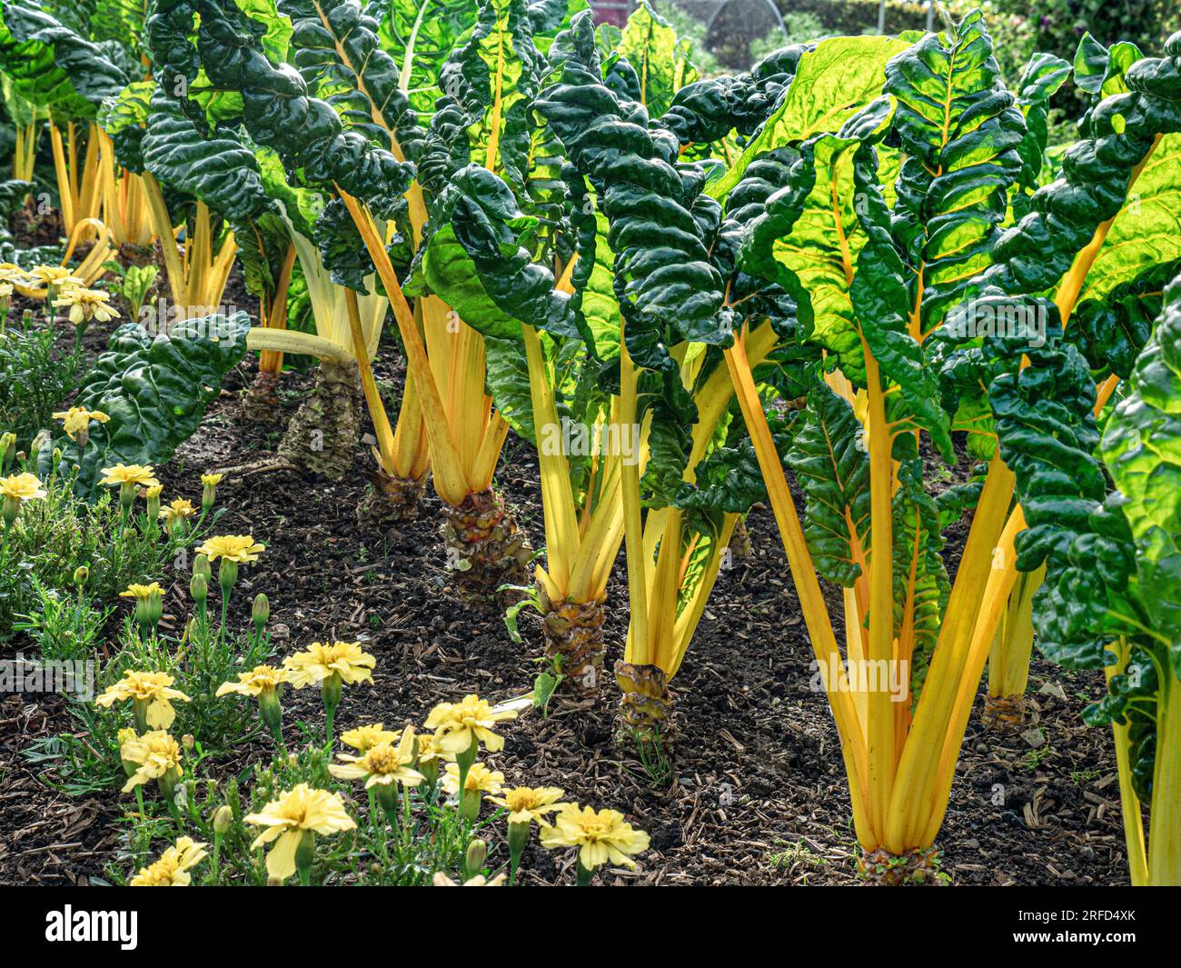 Cicla group hi-res stock photography and images - Alamy