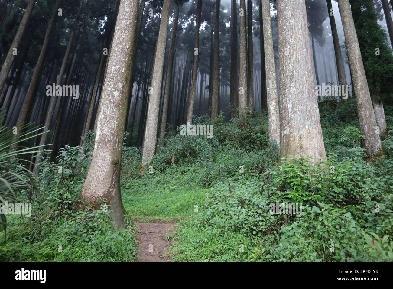 Scary lawn hi-res stock photography and images - Alamy