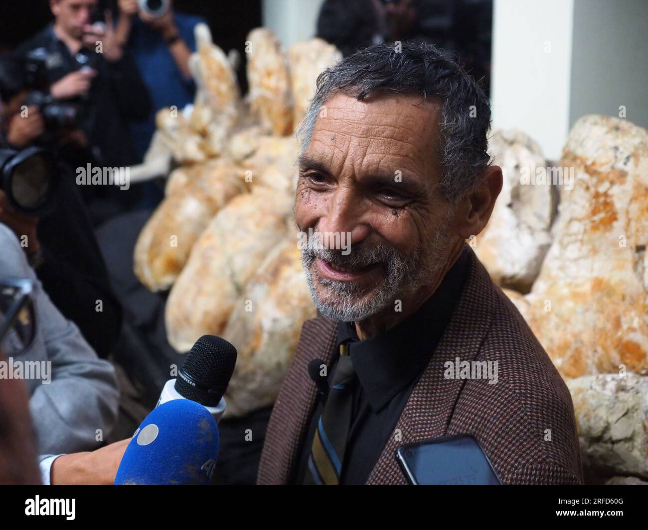 Perucetus colossus hi-res stock photography and images - Alamy