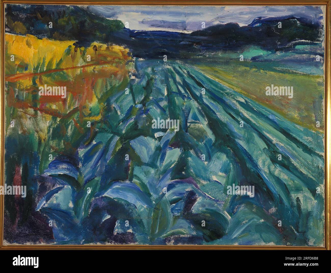 Cabbage Field 1915 by Edvard Munch Stock Photo - Alamy