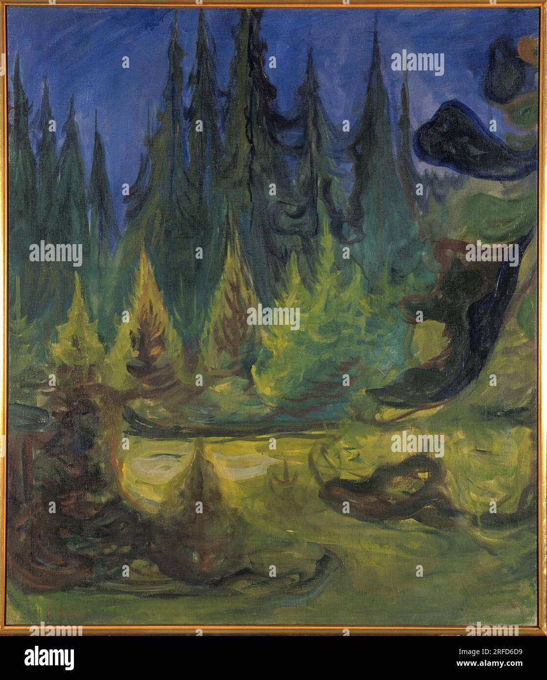 Dark Spruce Forest from 1899 until 1902 by Edvard Munch Stock Photo - Alamy