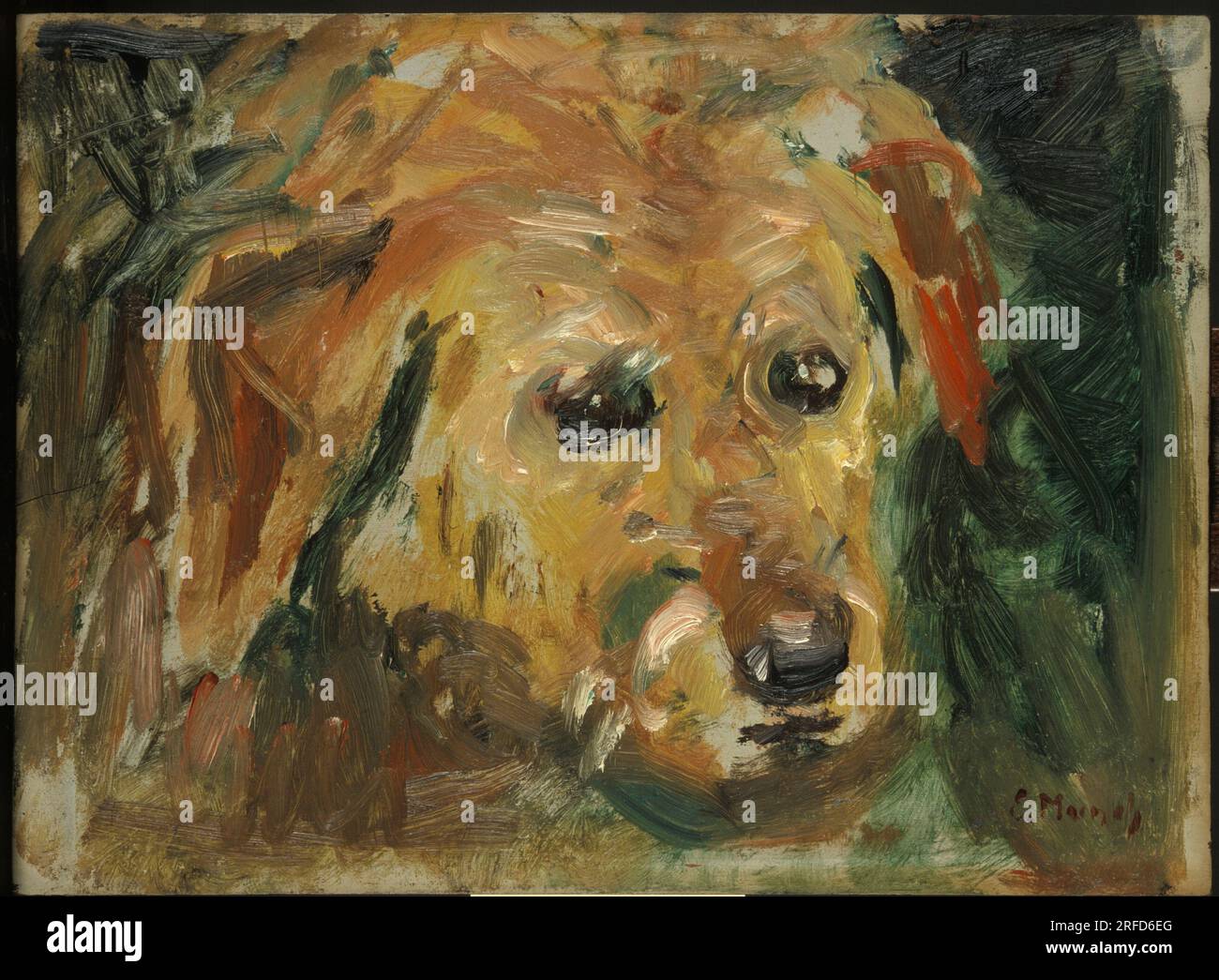 Dog's Face 1927 by Edvard Munch Stock Photo - Alamy