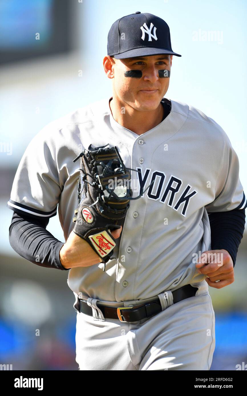 LOS ANGELES, CA - JUNE 04: New York Yankees first baseman Anthony Rizzo ...
