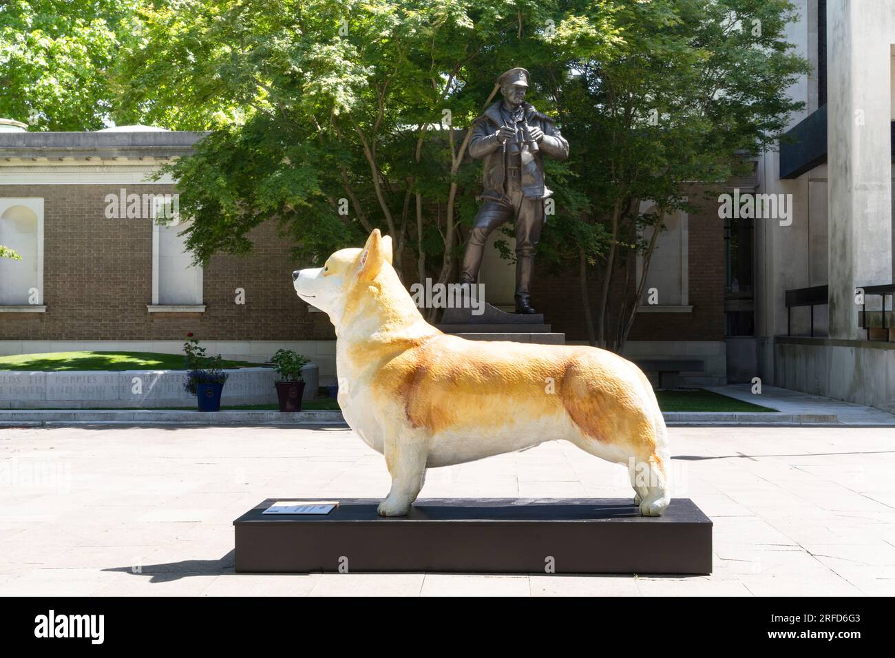 Platinum jubilee corgi trail hi-res stock photography and images - Alamy