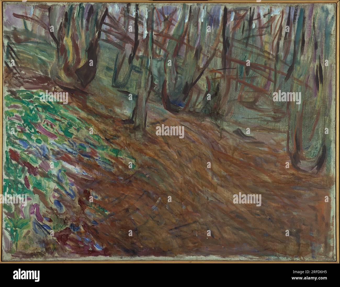 Elm Forest in Spring circa 1923 by Edvard Munch Stock Photo - Alamy