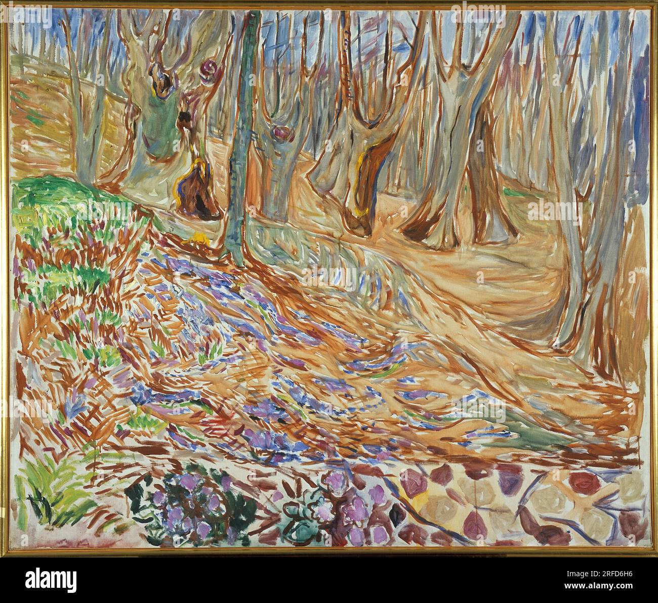 Elm Forest in Spring circa 1923 by Edvard Munch Stock Photo - Alamy